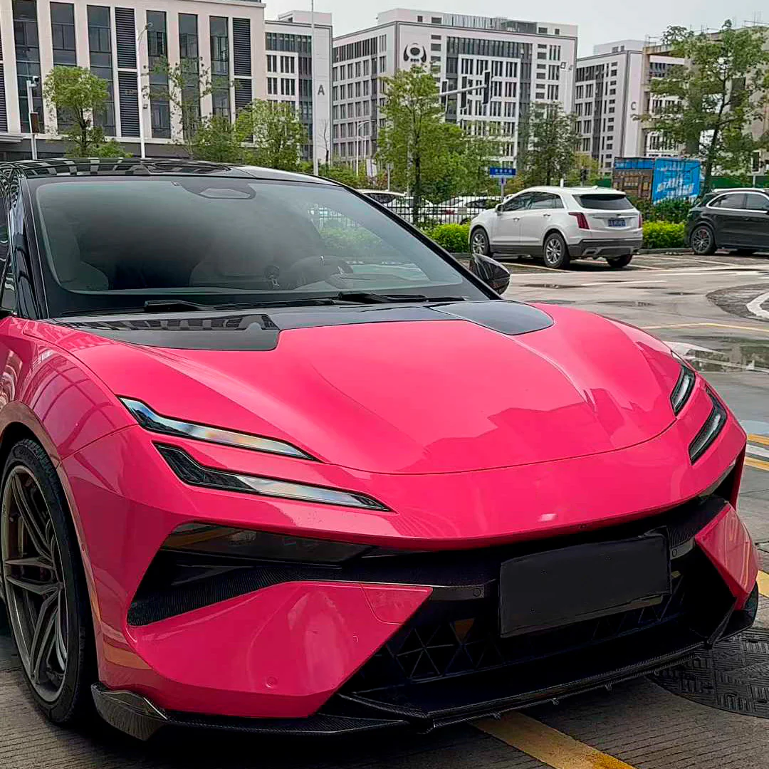 Lotus Pre-Preg Carbon Fiber OEM Style Hood Trim for Emeya